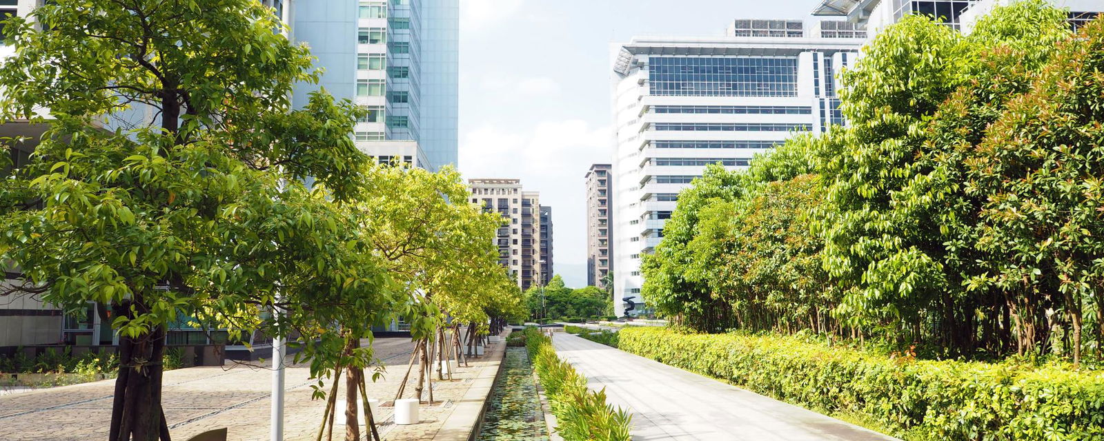 Tree root protection | Geoworks