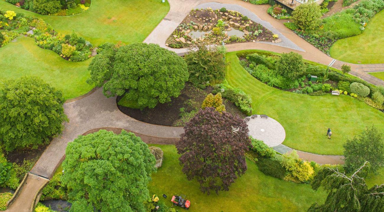 ProtectaWeb provides slope reinforcement and tree root protection ...